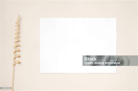 흰색 초대 장 카드 모형과 마른 포도 나무에서 장식 가지 베이지 색 배경 공간을 복사합니다 0명에 대한 스톡 사진 및 기타