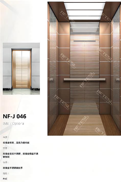 Powered Security Ascenseur Commercial Panoramic Elevators For Outdoor Or Indoor Elevator And Lift