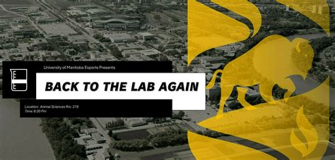 Back To The Lab Brackets