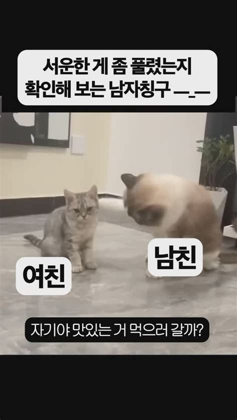 이너피스 연구소 시도 때도 없이 남자친구 괴롭히는 여자친구 ㅋㅋ 럽스타그램 글 사랑글 사랑 연애 럽스타스램 데이트 맛집 릴스타그램 Instagram