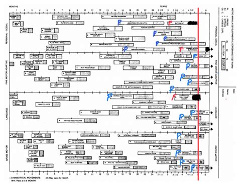 Mmdst Scoring Sheet Pdf