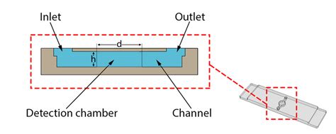 Cross Section Of The 3d Printed Microfluidic Device The Diameter D Download Scientific