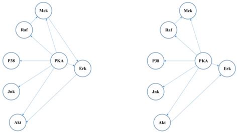 Entropy Special Issue Bayesian Methods In Bioinformatics