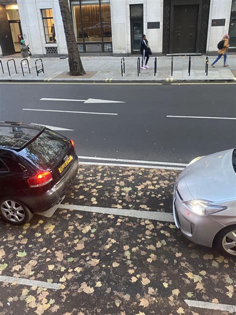 Imprinted Leaves On Only One Side Of The Road Near Kingsway Rlondon