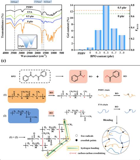 A Ftir Analysis Of The Pure Phbv Eva And Phbvevabpo Blends And