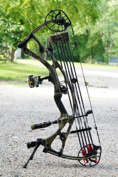 Hoyt Carbon Rx8 Bow Review Mossy Oak