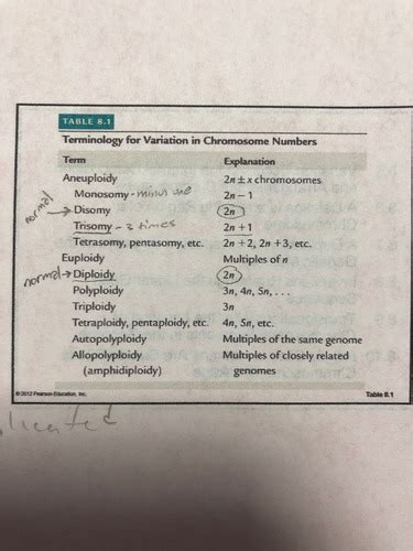 Genetics Ch 8 Flashcards Quizlet