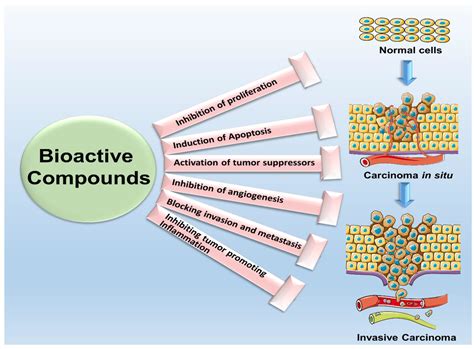 Bioactive Compounds Multi Targeting Silver Bullets For Preventing And