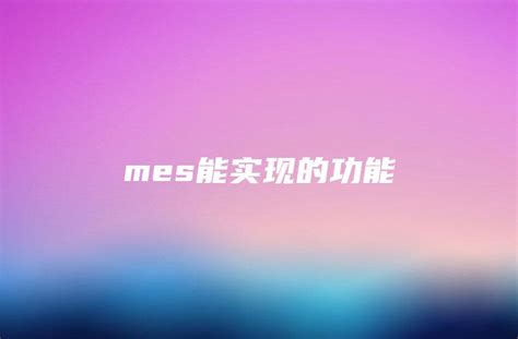 Mes能实现的功能 金智达软件