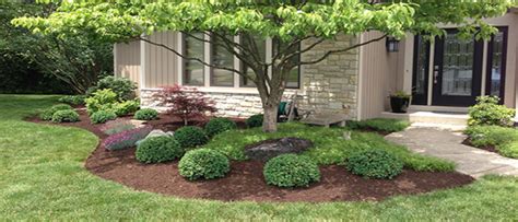 One Time Trimming Services In Oklahoma