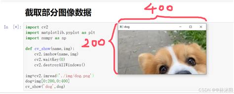 Opencv零基础入门（3）：roi区域颜色通道提取边界填充图像融合图像阈值opencv Roi Csdn博客