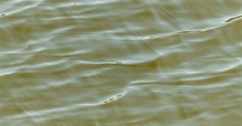 고요한 관념적인 매끄러운 물 물결 모양 물결 모양의 미니멀한 반복 반사 배경 부드러운 손을 흔들다 아쿠아색 액체 야외에서 움직임 유동체 자연