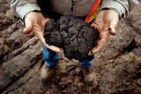 Lecture On Oil Sands Assignment Point