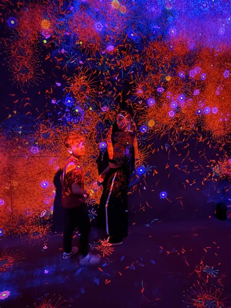 Our Teamlab Borderless Review The Spirited Puddle Jumper