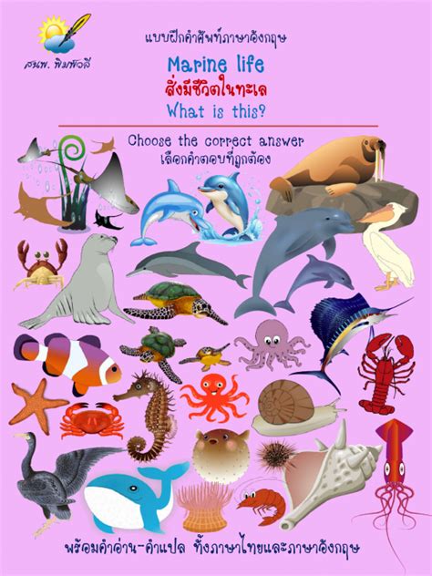 What Is This Marine Life สิ่งมีชีวิตในทะเล ศูนย์หนังสือจุฬาฯ