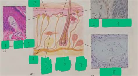 graphics flashcards quizlet