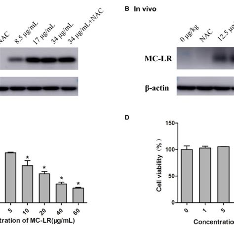 Measurement Of Cell Viability And Microcystin Lr Mc Lr Detected In