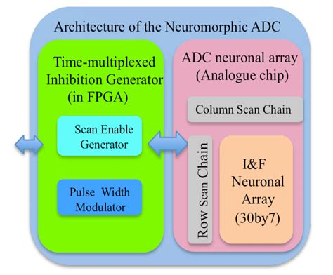 Architecture Of The Neuromorphic Adc Download Scientific Diagram