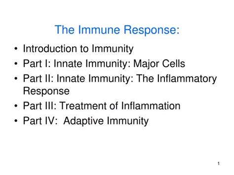 Ppt The Immune Response Powerpoint Presentation Free Download Id