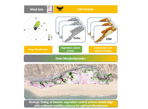 Ana Silva On Linkedin 📣 We Have A New Paper On Dune Morphodynamics This Paper Was Led By Ana…