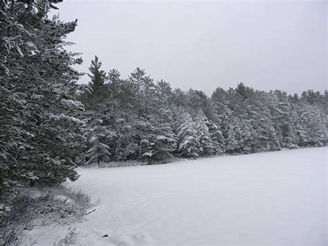 Witer Banco De Fotos E Imágenes De Stock Istock