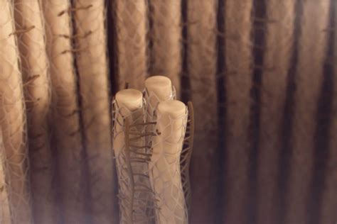 Wood Technology Process Innovative Solutions By Woodoo