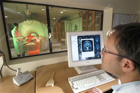 Brain Sex Response Research Stock Image C Science Photo Library