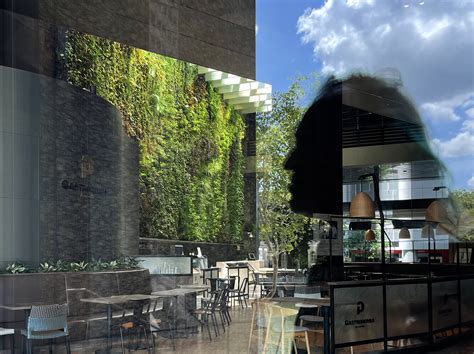 Patrick Blanc Looking At His Vertical Garden In Capitaland On 6 Battery Rd Singapore June 2022