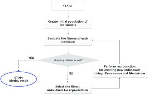 Flow Diagram Of The Genetic Algorithm Process Download Scientific Diagram