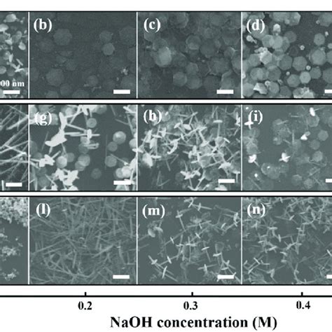 Investigating The Correlation Of Concentration On The Reaction Download Scientific Diagram