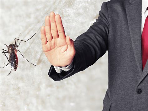 Everything The Uae Is Doing To Stop Those Irritatng Mosquito Bites Time Out Dubai