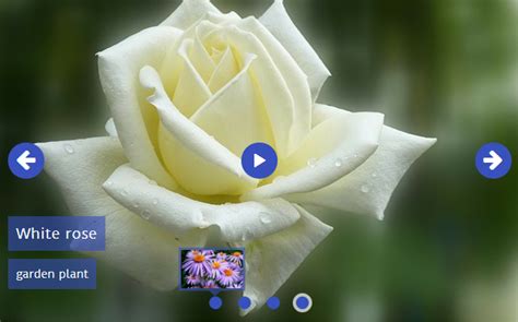 Full Width Slider Innovative 100 Css Carousel