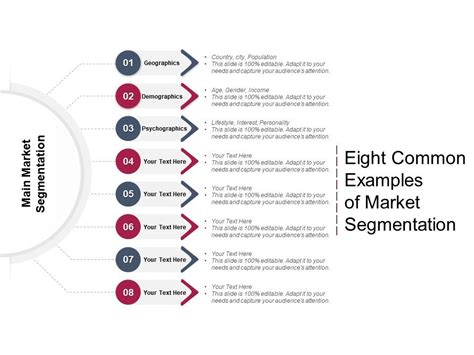 Eight Common Examples Of Market Segmentation Ppt Powerpoint Presentation Layouts Inspiration Pdf