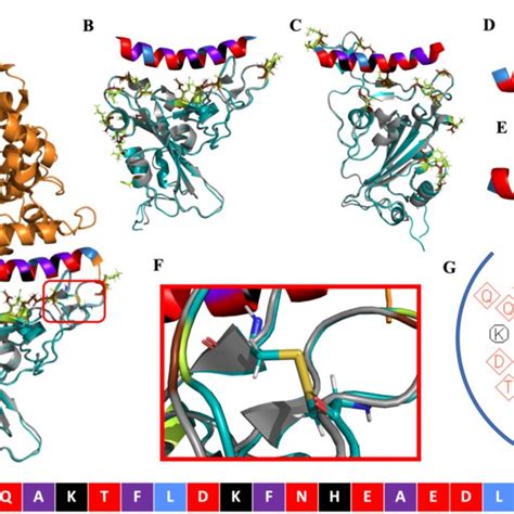 Secondary Structure Analysis Over 400ns Production Run A Secondary