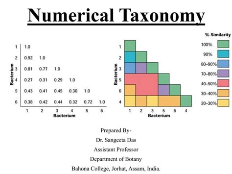 Numerical Taxonomy Plant Taxonomy Pptx Biological Sciences Science