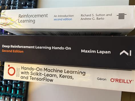 Reinforcement Learning Buchempfehlungen Dr Ing Sorin Liviu Jurj