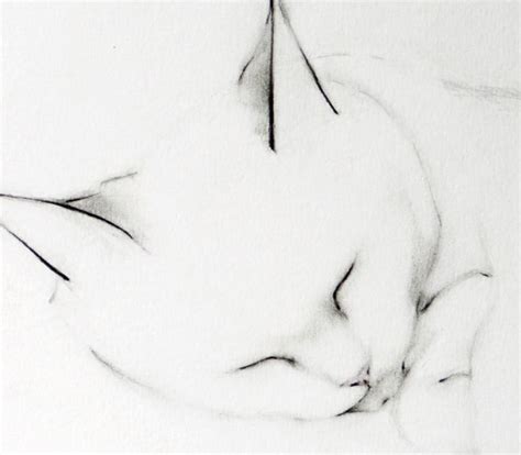 Original Art For Sale Sumi E Cat Drawing Cat Sleeping Line Art