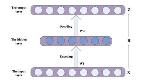 Single Hidden Layer Autoencoder Download Scientific Diagram