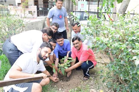 Plantation And Sampling Distribution Utthan India