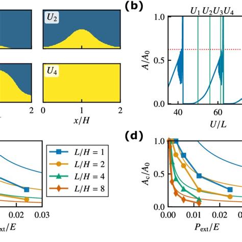 A Spatial Distribution Of The Slip Region In The Frictional Interface