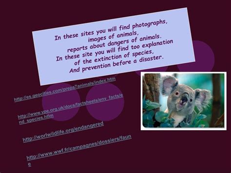 Ppt Extinction Of Species Powerpoint Presentation Free Download Id