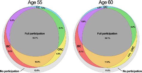 Euler Diagrams Of Concurrent Participation For The Two Age Groups