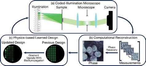 Figure 1 From Physics Based Learned Design Optimized Coded Illumination For Quantitative Phase
