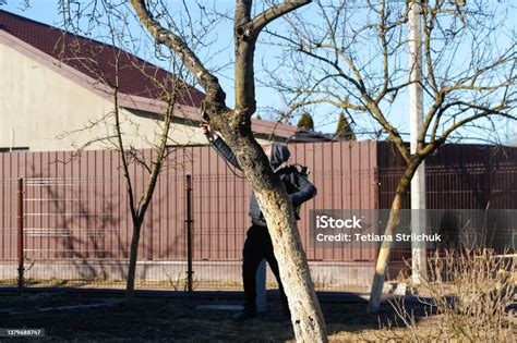 Fumigating Pesti Pest Control Defocus Farmer Man Spraying Tree With