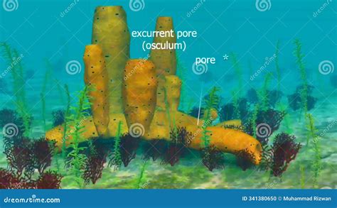 Excurrent Cartoons Illustrations And Vector Stock Images 2 Pictures To Download From