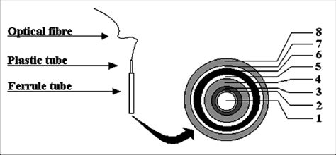 Schematic Diagram Of A Single Fibre Mounting Assembly Core Download Scientific Diagram