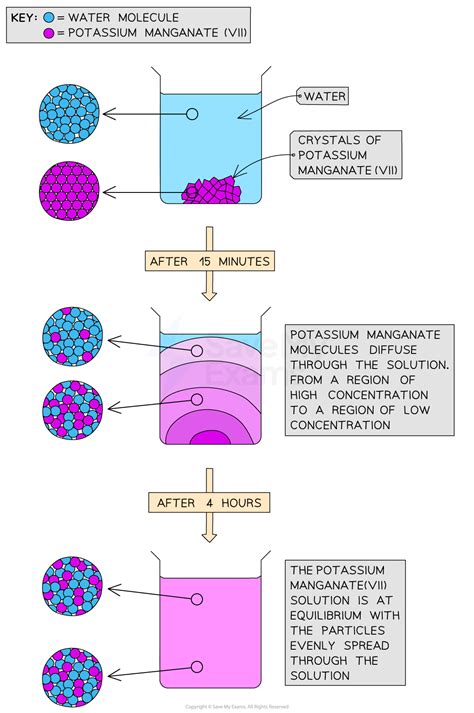 Diffusion Experiment