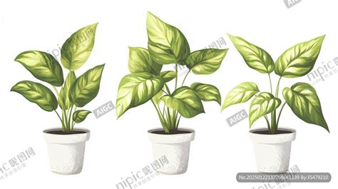 Ai创作图绿色盆栽插画元素 手绘小盆栽绿植素材 绿植盆栽插画 卡通绿植盆栽 手绘盆栽植物 手绘植物小盆栽 绿植插画元素 手绘绿植素材 盆栽植物插画 手绘多款植物盆栽 室内植物插画 手绘绿植插画