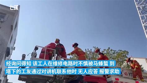 工人被马蜂蜇伤失去意识，受困60米高塔台凤凰网视频凤凰网