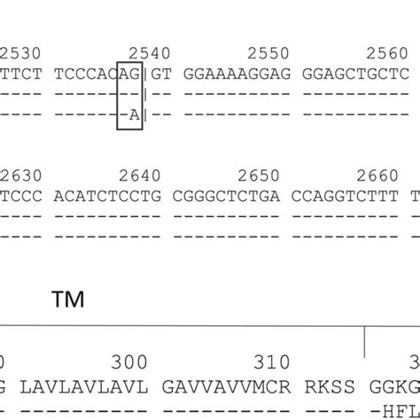 A Partial Nucleotide Sequence Alignment Of C01020101